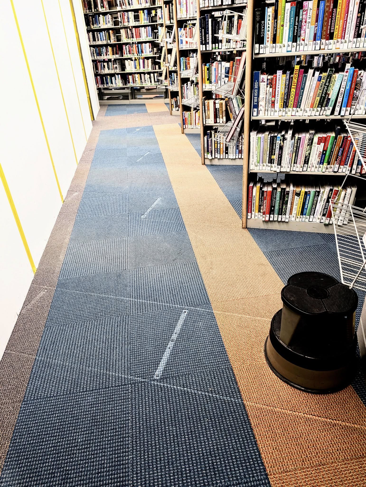 A Picture is Worth 3200 Square Feet, part 2 – Keep Our Library Public!